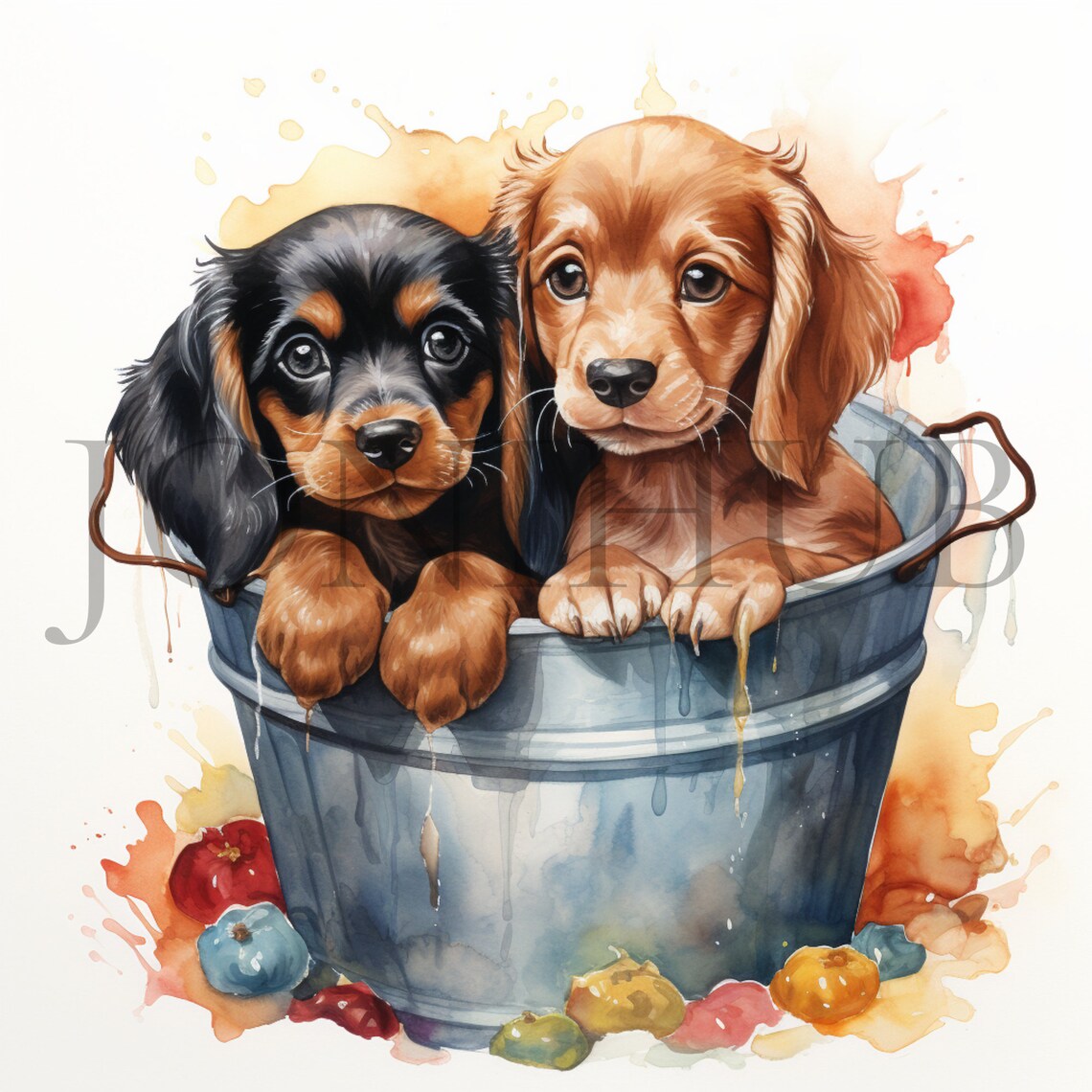Dogs in a Bucket Clipart 10 High Quality Jpg's Digital Download Animal ...