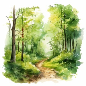 Summer Forest Clipart - 10 High Quality Jpgs | Junk Journals | Nature ...