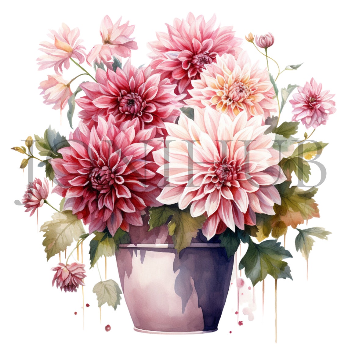 Dahlias Bucket Clipart | 10 High Quality Jpg's | Digital Download ...