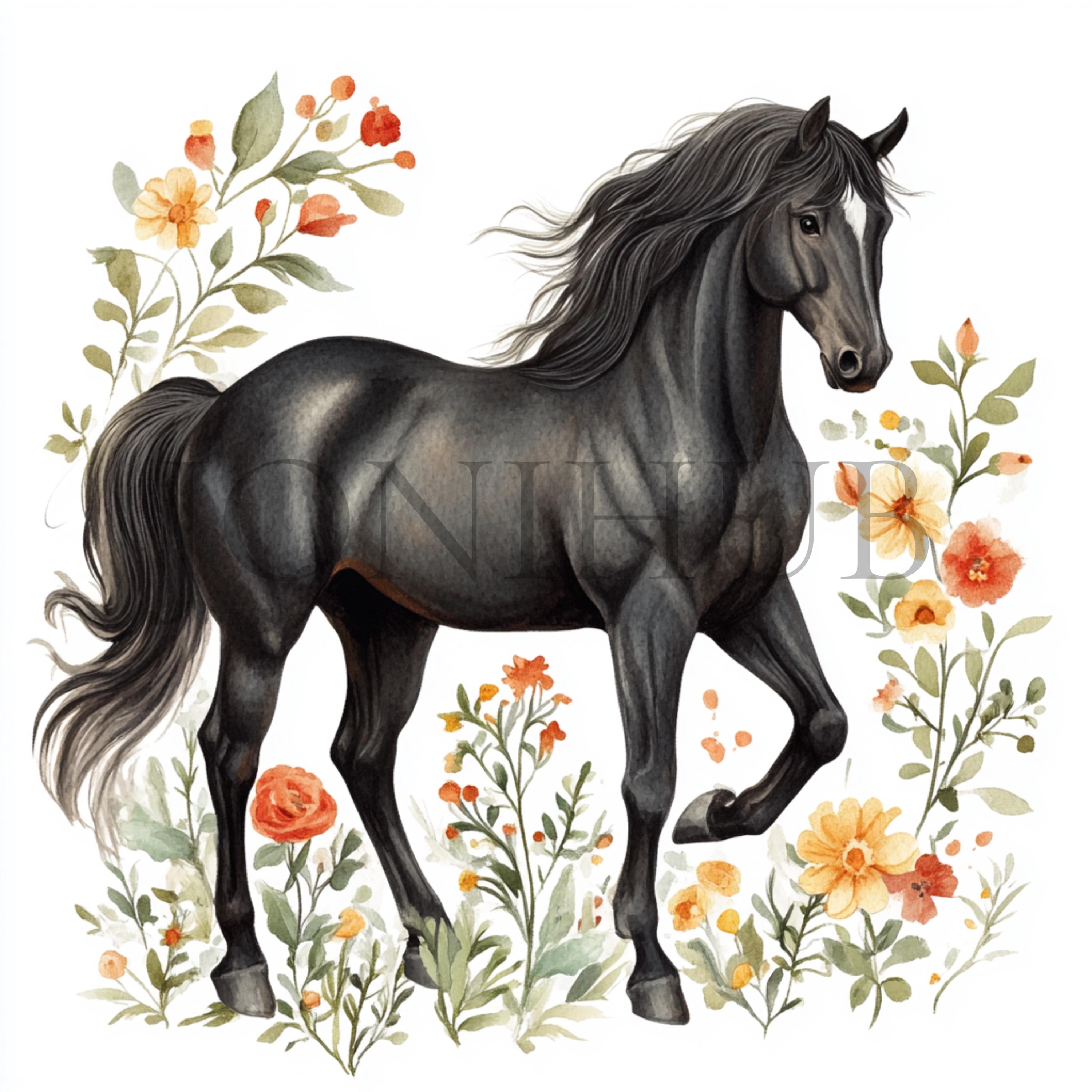 Floral Black Horses Clipart | 10 High Quality Jpg's | Digital Download ...
