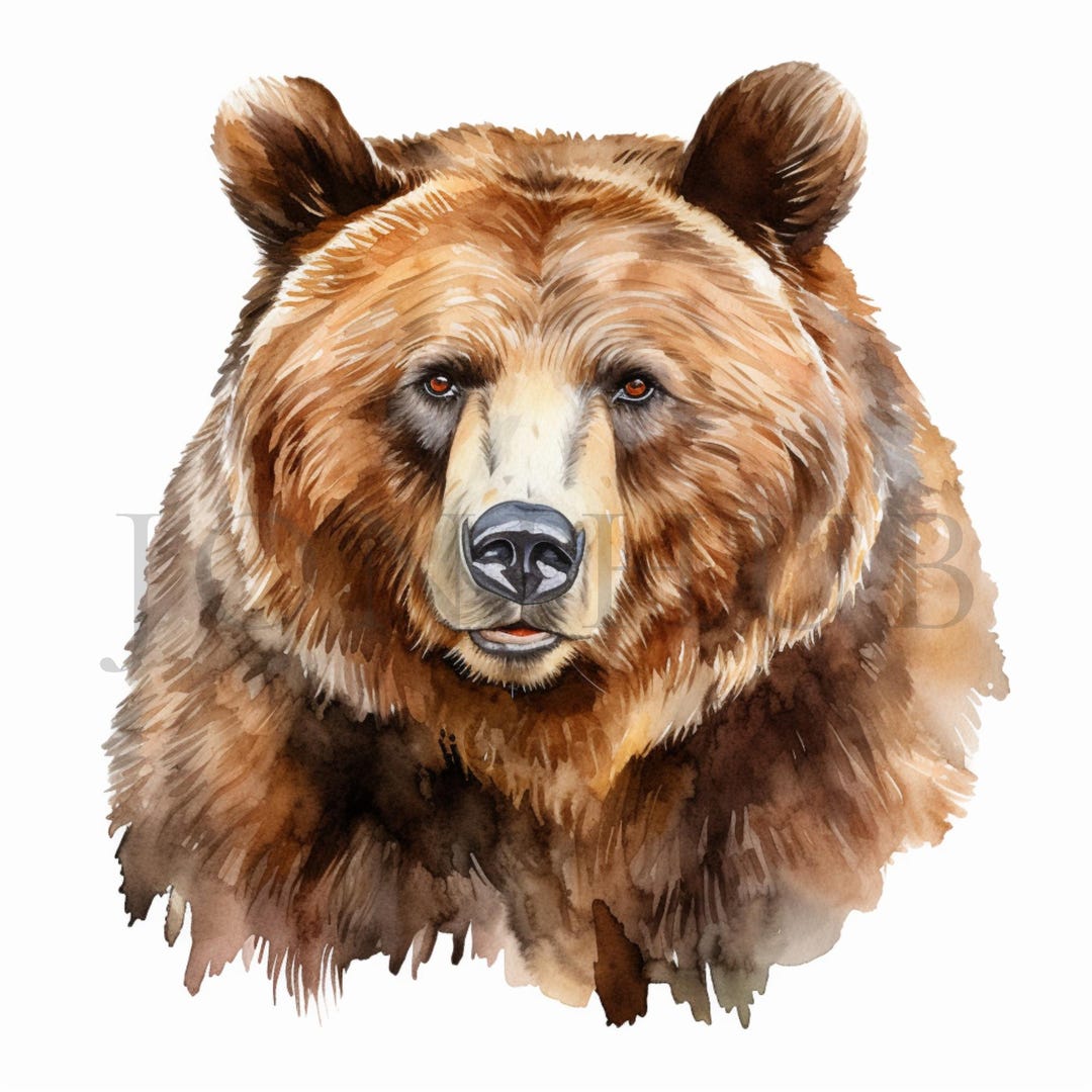 Grizzly Bear Clipart | 10 High Quality Jpgs | Digital Download | Card ...