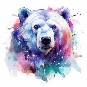 Colorful Polar Bear Clipart | 10 High Quality Jpgs | Digital Download ...