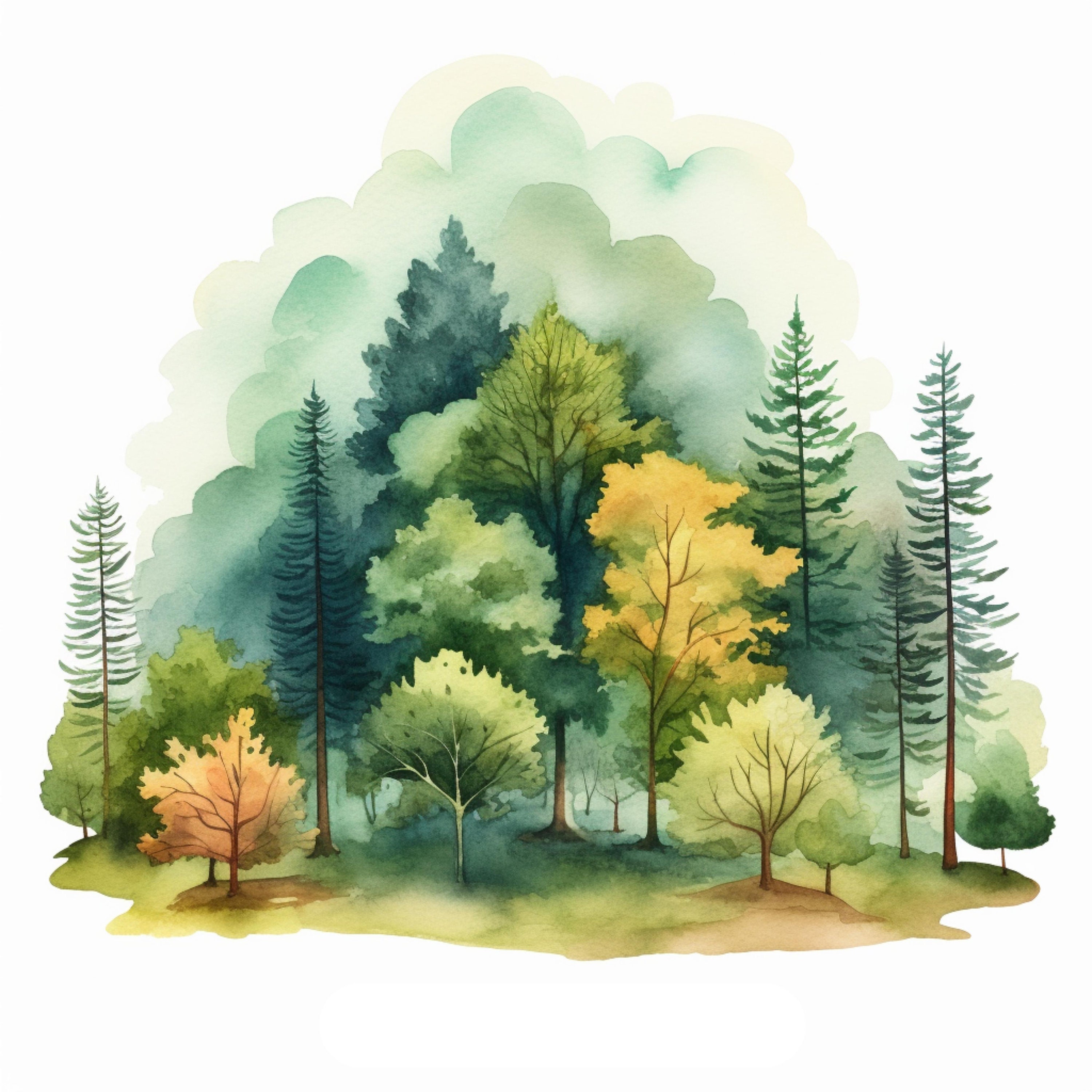 Watercolor Forest Clipart | 10 High Quality Jpegs | Misty Forest ...