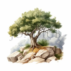 Olive Tree on Cliff Clipart | 10 High Quality Jpg's | Digital Download ...