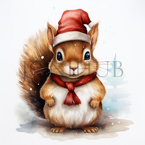 Squirrel Christmas Hat Clipart | 10 High Quality Jpg's | Digital ...