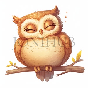Sleepy Owls Clipart | 10 High Quality Jpg's | Digital Download | Bird ...