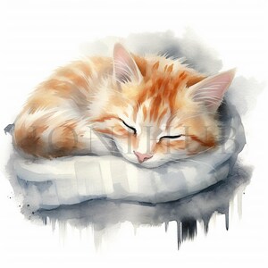 Sleeping Cats Clipart | 10 High Quality Jpgs | Digital Download ...