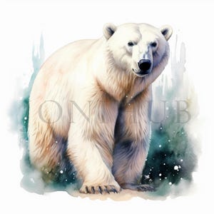 Colorful Polar Bear Clipart | 10 High Quality Jpgs | Digital Download ...