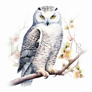 Snowy Owl Clipart | 10 High Quality Jpgs | Instant Digital Download ...