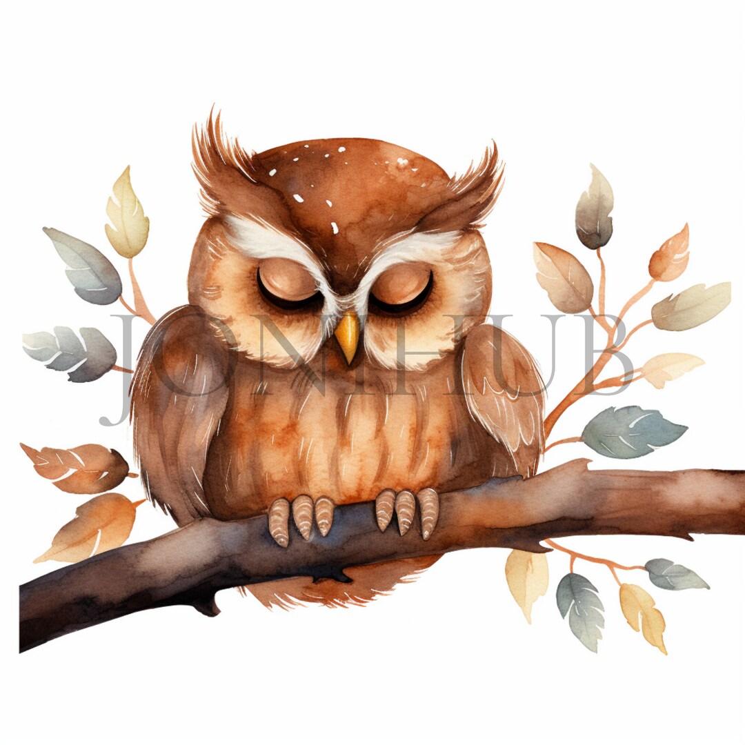 Sleepy Owls Clipart | 10 High Quality Jpg's | Digital Download | Cute ...