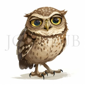 Burrowing Owl Clipart | 10 High Quality Jpgs | Digital Download | Owl ...