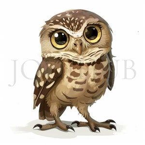 Burrowing Owl Clipart | 10 High Quality Jpgs | Digital Download | Owl ...