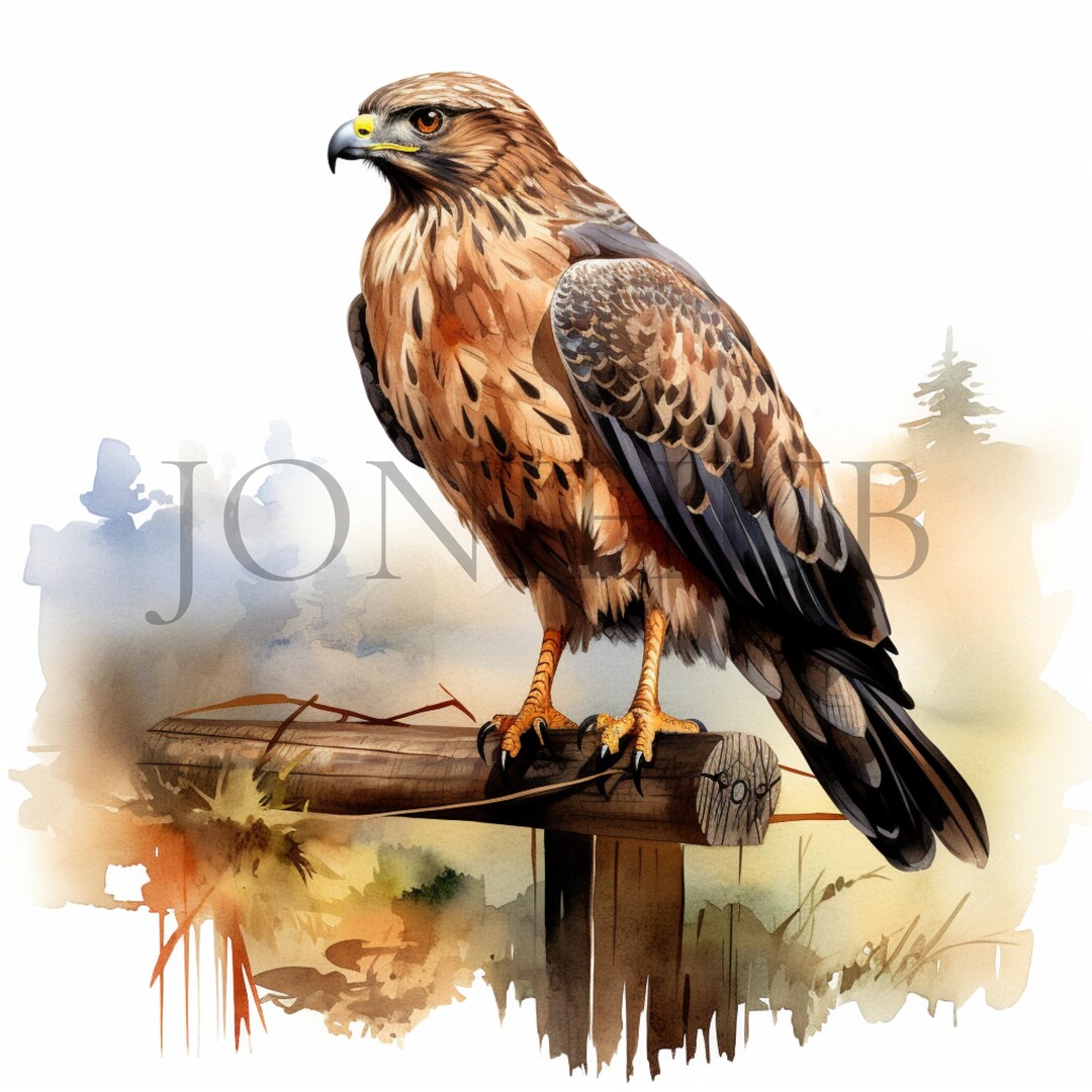 Buzzard on Fence Clipart | 10 High Quality Jpg's | Digital Download ...
