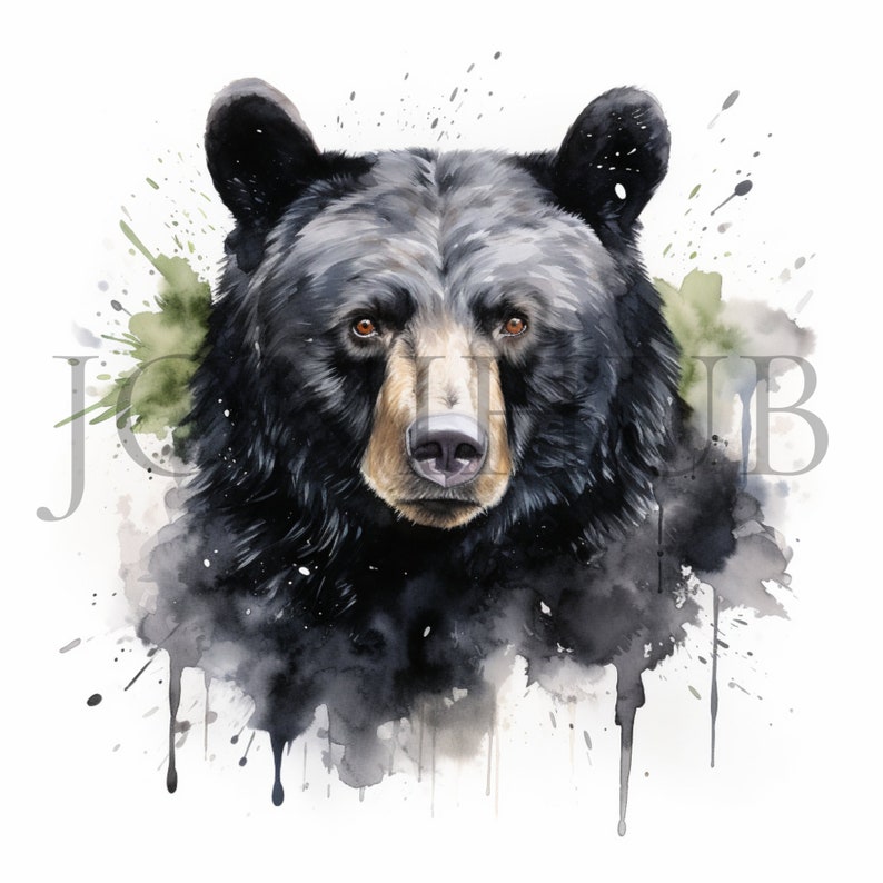 Watercolor Black Bear Clipart 10 High Quality Jpgs Digital Download ...
