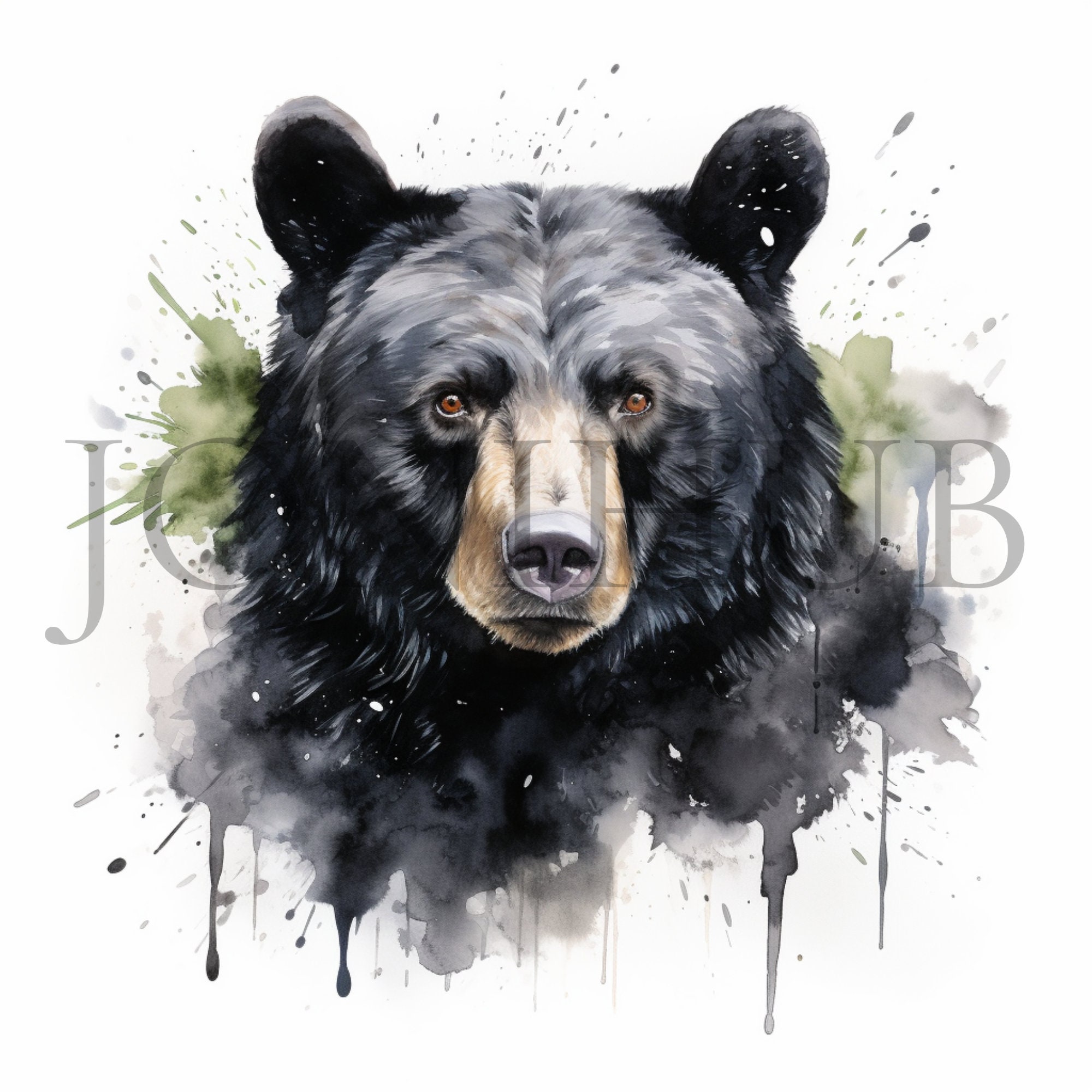 Watercolor Black Bear Clipart 10 High Quality Jpgs Digital Download ...