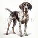 English Pointer Clipart | 10 High Quality Jpgs | Digital Download ...