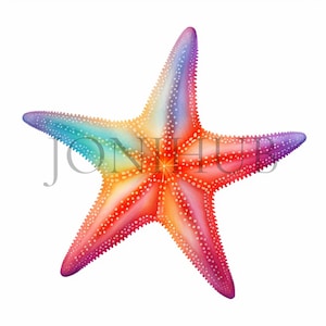 Starfish Clipart | 10 High Quality Jpg's | Digital Download | Printable ...