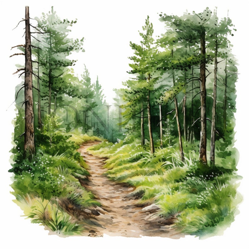 Forest Trail Clipart | 10 High Quality Jpg's | Digital Download ...