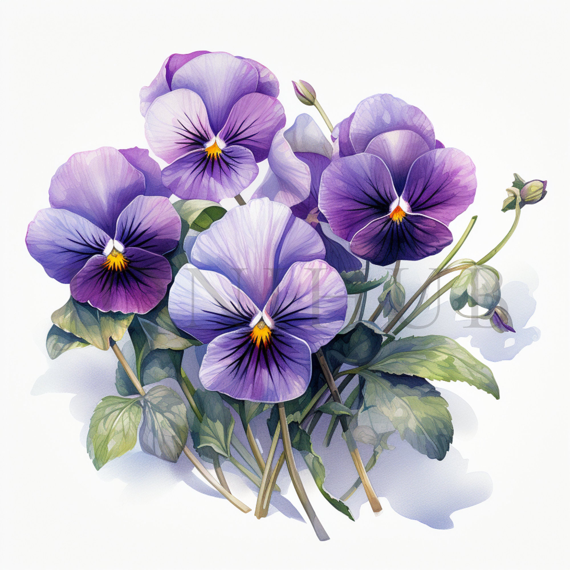 Violets Clipart | 10 High Quality Jpgs | Digital Download | Violets ...