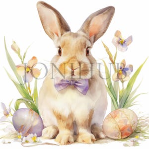 Easter Bunny and Egg Clipart | 10 High Quality Jpg's | Digital Download ...
