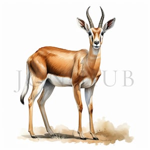 Thomson Gazelle Clipart | 10 High Quality Jpgs | Digital Download ...