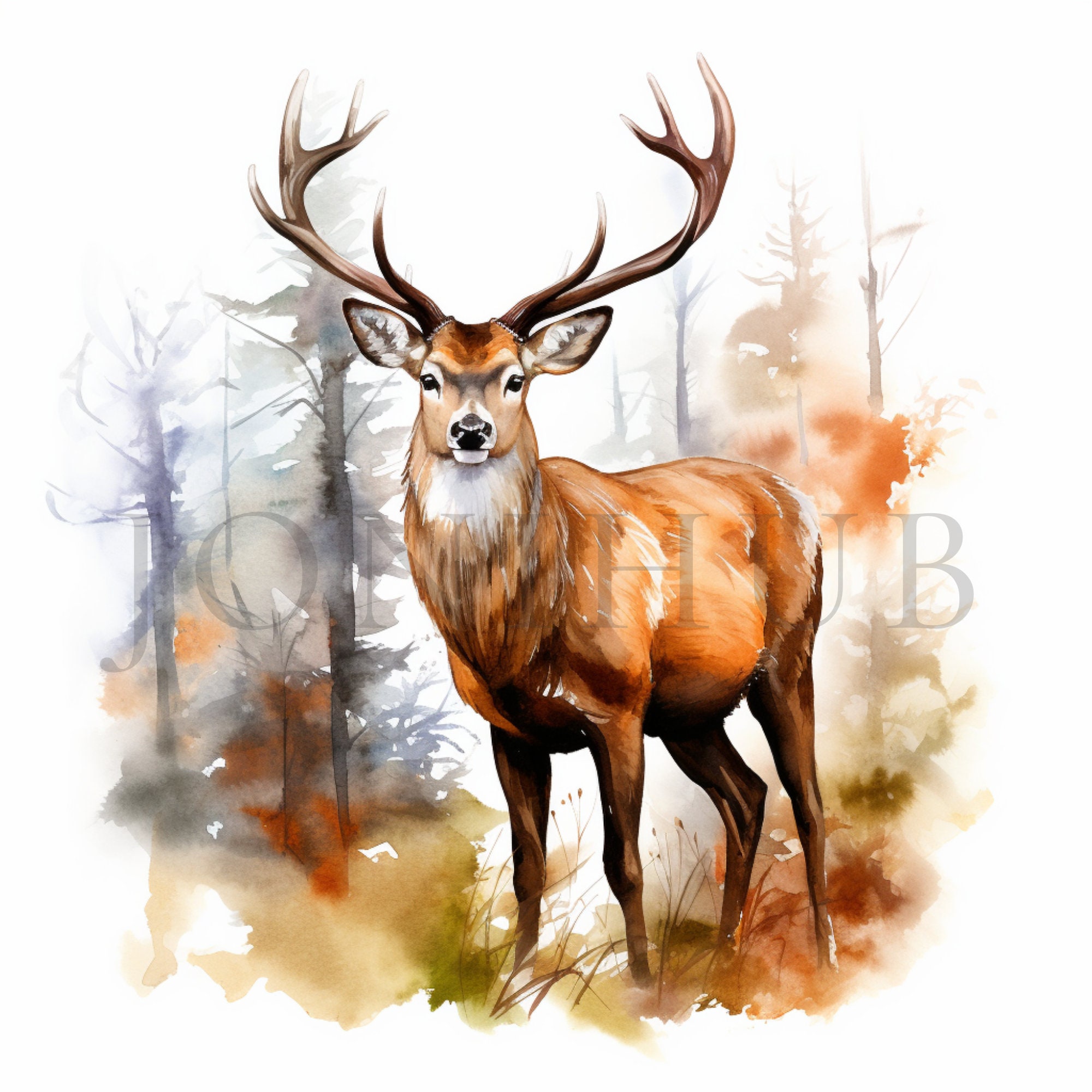 Watercolor Deer in a Forest Clipart 10 High Quality Jpgs Digital ...