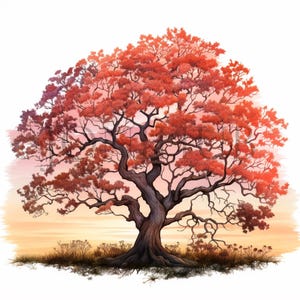 Oak at Sunset Clipart 10 High Quality Jpg's Digital Download Landscape ...