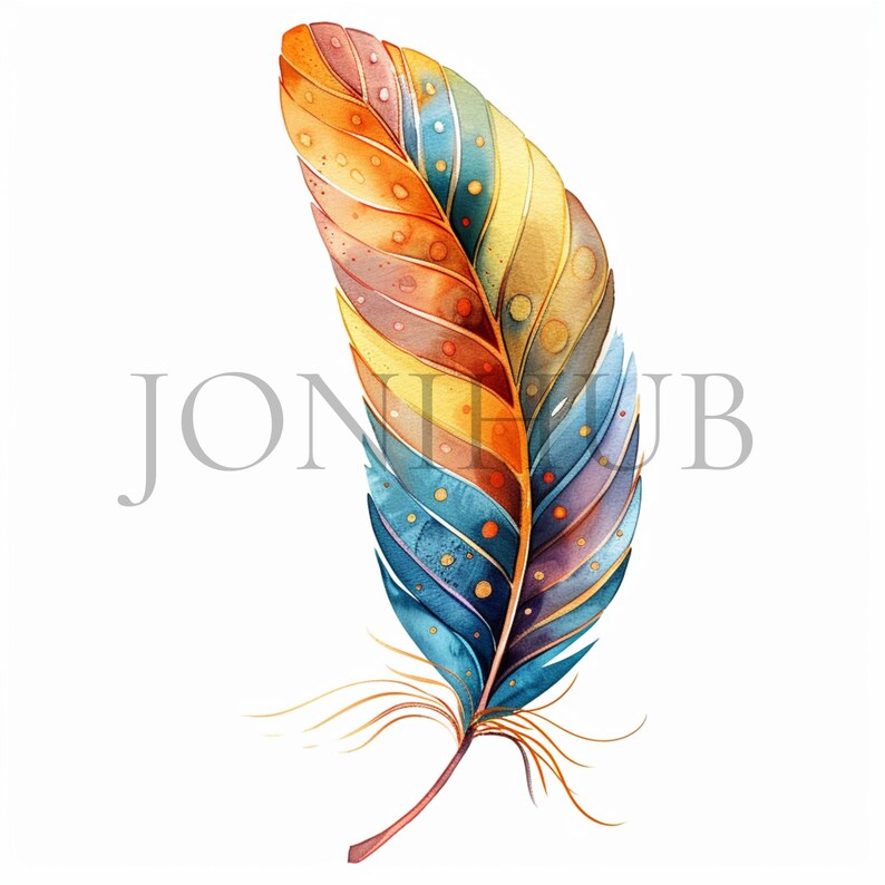 Feather Clipart | 10 High Quality Jpgs | Digital Download | Nature ...