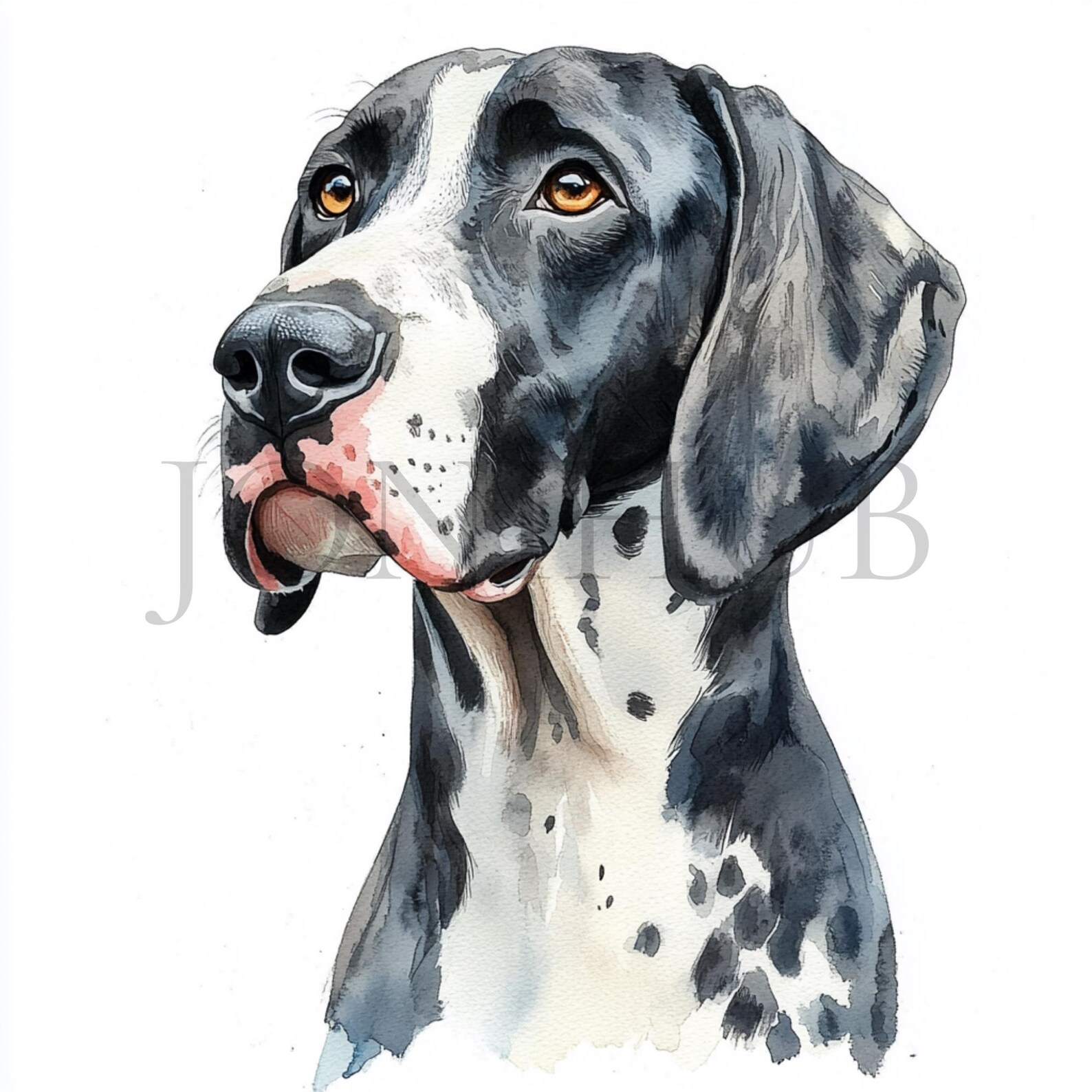 Great Dane Portrait | 10 High Quality Jpg's | Digital Download | Dog ...
