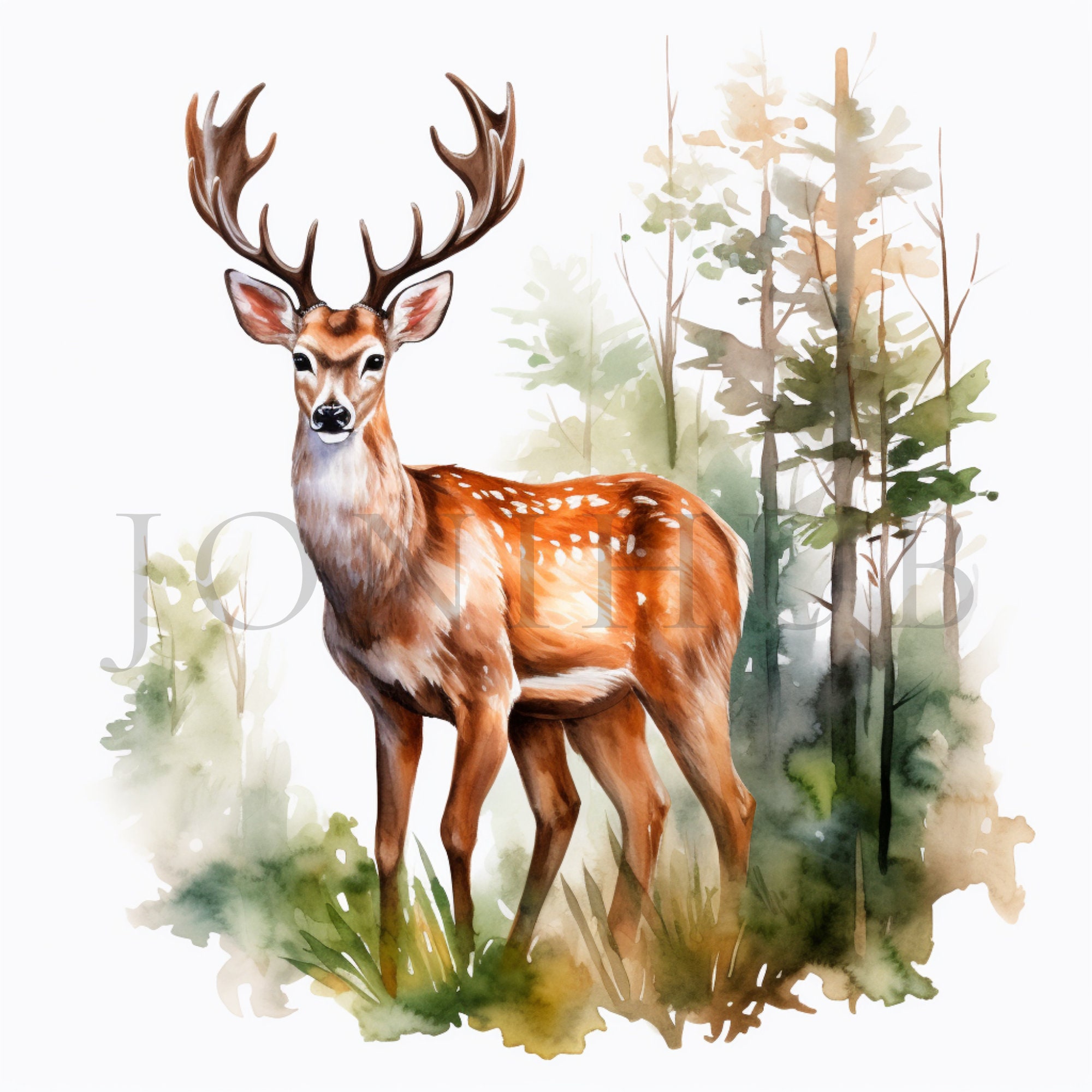 Watercolor Deer in a Forest Clipart 10 High Quality Jpgs Digital ...