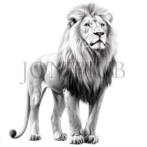Lion Greyscale Clipart 10 High Quality Jpg's Digital Download Wild ...