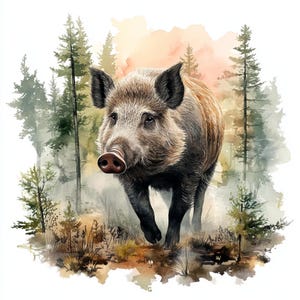Wild Boar in Forest Clipart | 10 High Quality Jpgs | Digital Download ...