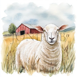 Farmyard Sheep Clipart | 10 High Quality Jpg's | Digital Download ...