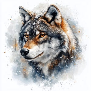 Wolf in Winter Clipart | 10 High Quality Jpgs | Digital Download | Wild ...