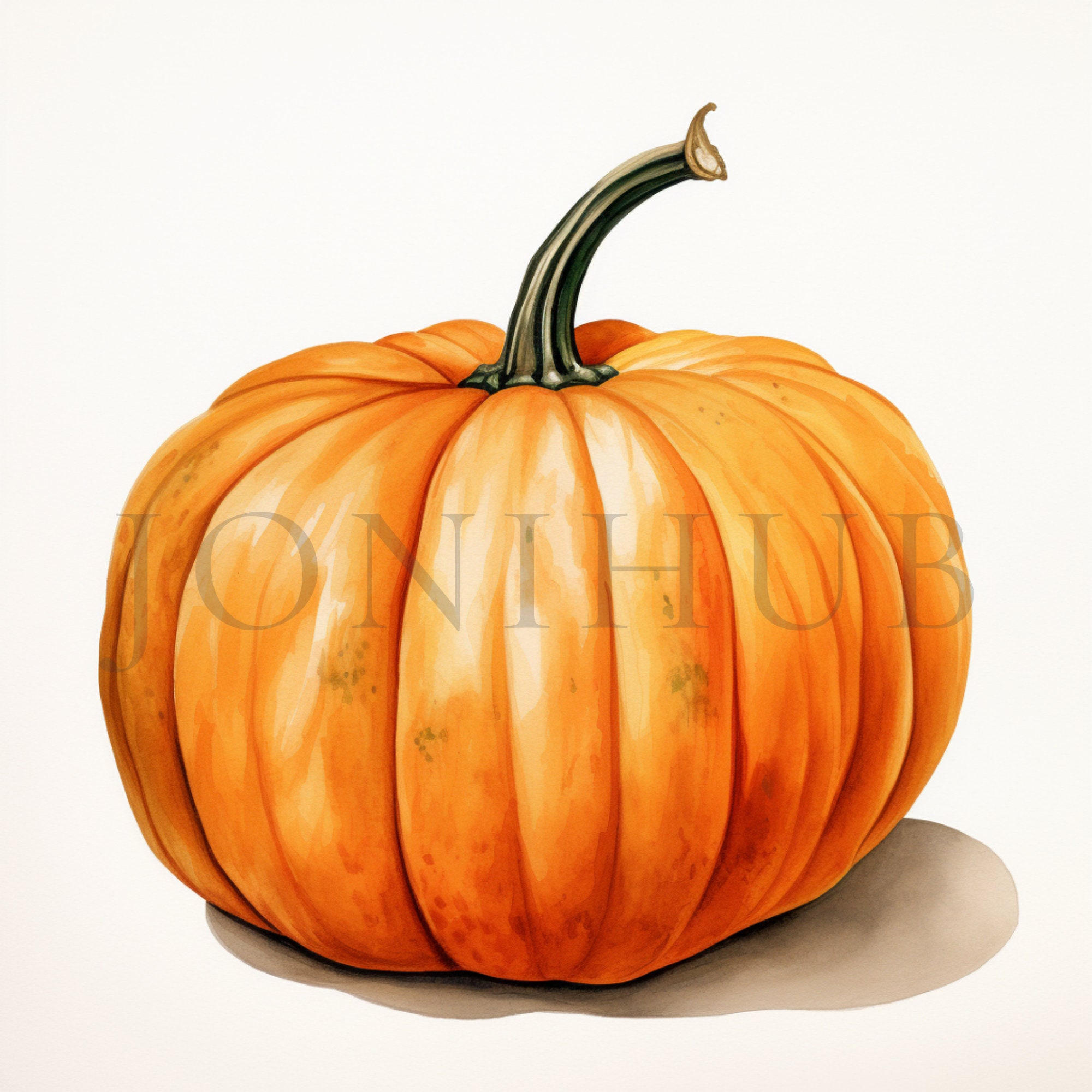 Watercolor Pumpkin | 10 High Quality Jpgs | Digital Download | Pumpkin ...