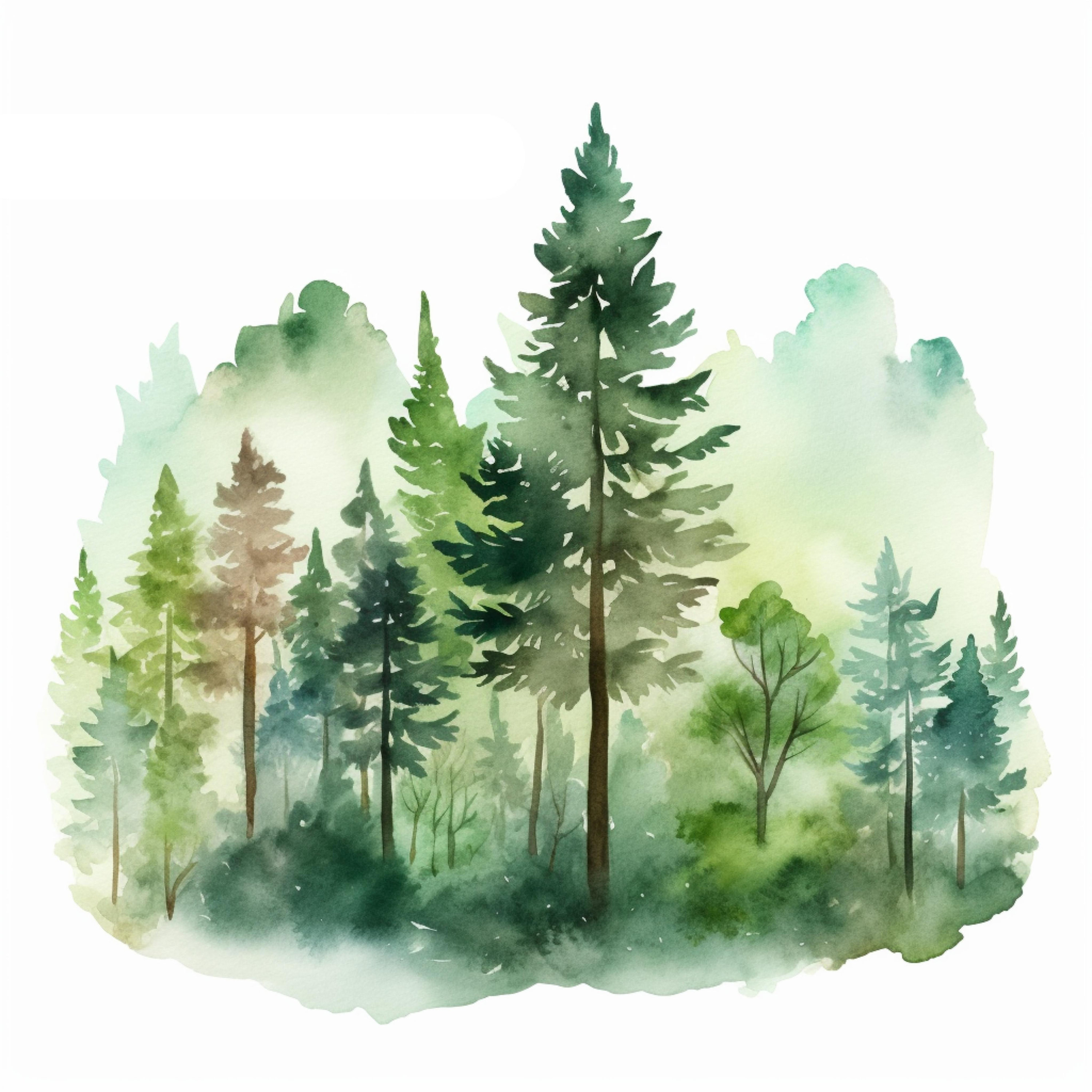 Watercolor Forest Clipart | 10 High Quality Jpegs | Misty Forest ...