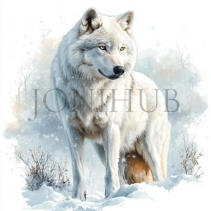 Wolf in Winter Clipart | 10 High Quality Jpgs | Digital Download | Wild ...