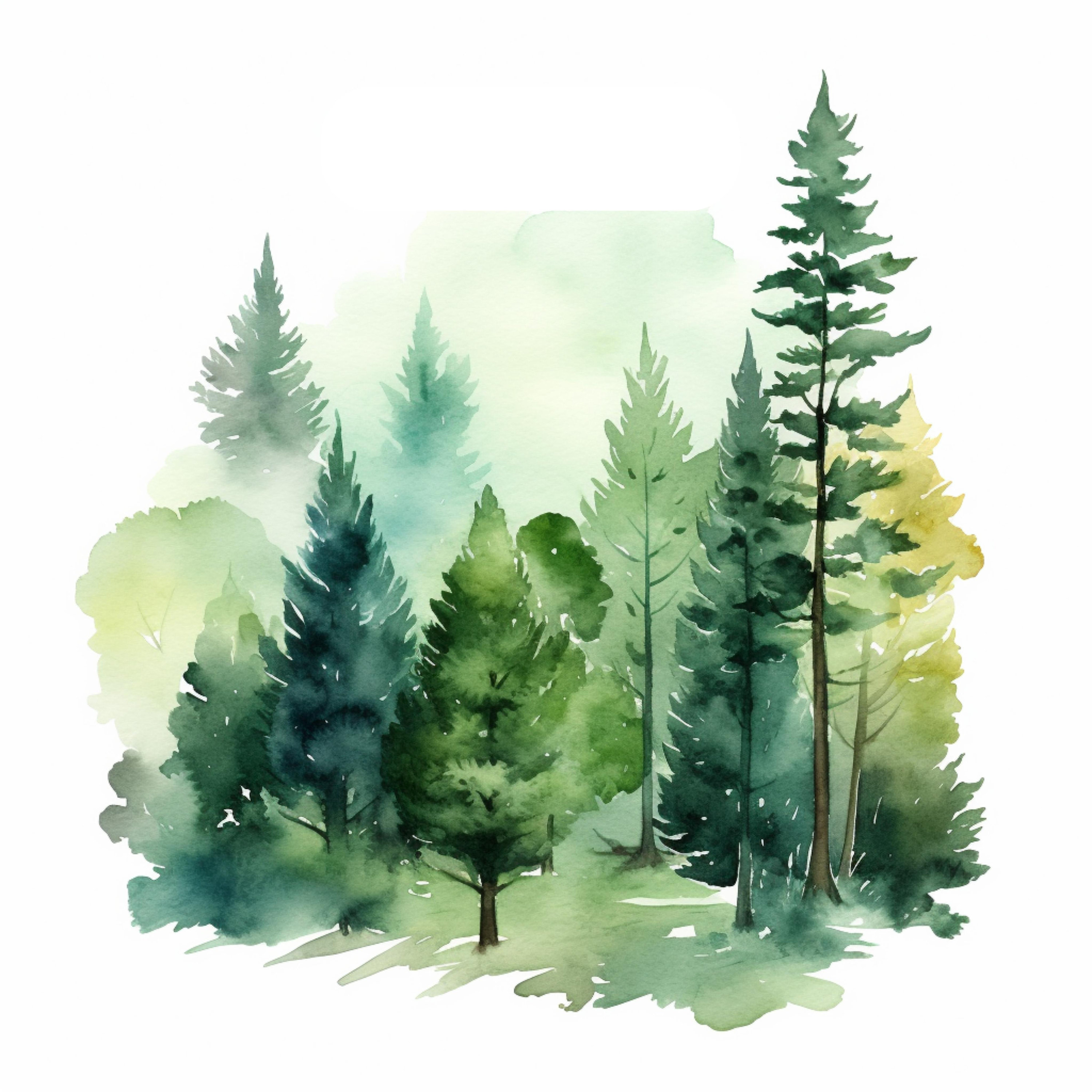 Watercolor Forest Clipart | 10 High Quality Jpegs | Misty Forest ...