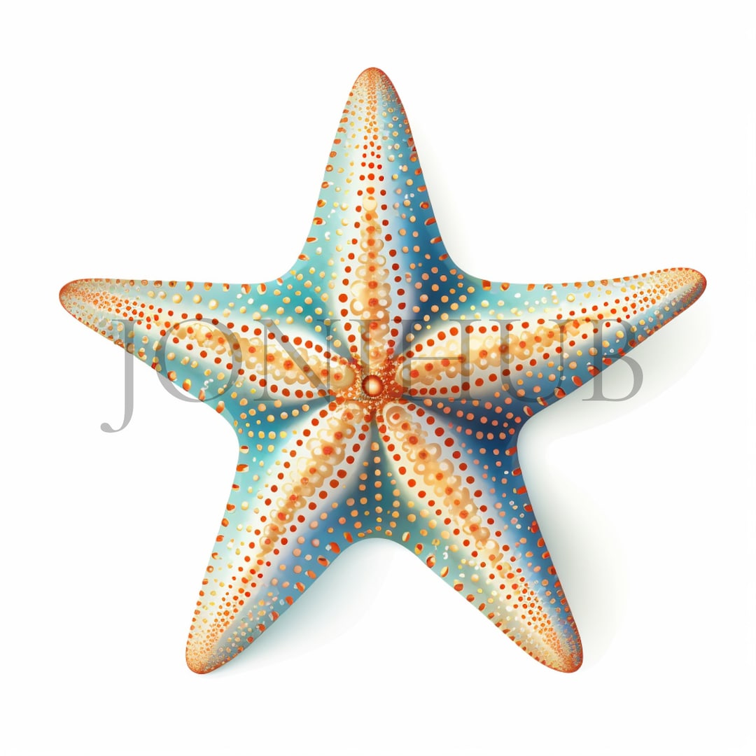 Starfish Clipart | 10 High Quality Jpg's | Digital Download | Printable ...