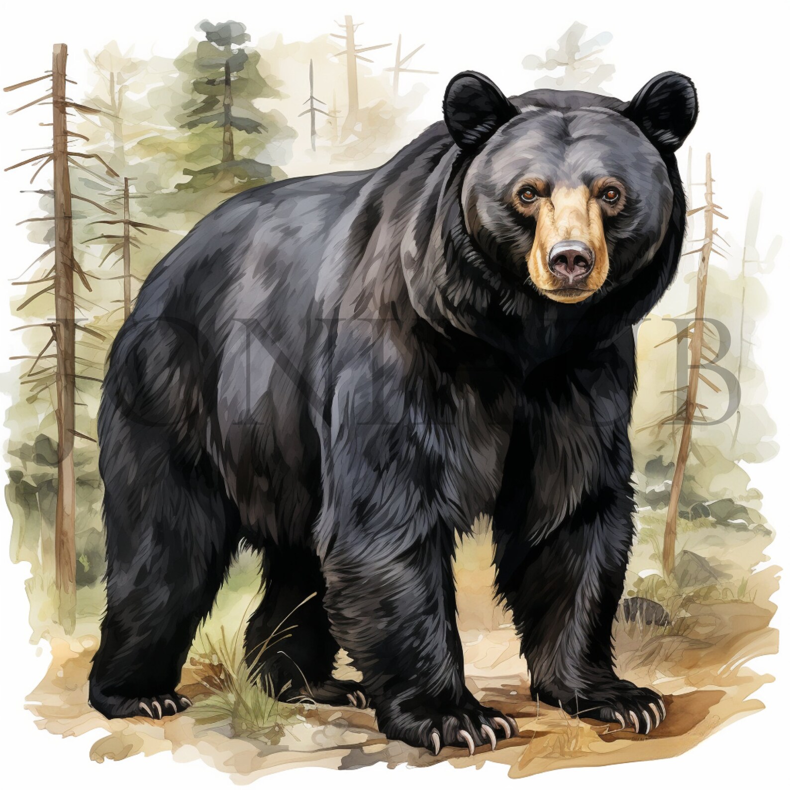 Watercolor Black Bear Clipart 10 High Quality Jpgs Digital Download ...