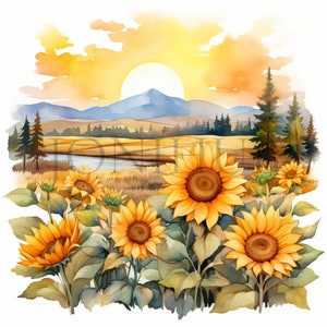 Sunflowers Fields Clipart | 10 High Quality Jpg's | Digital Download ...