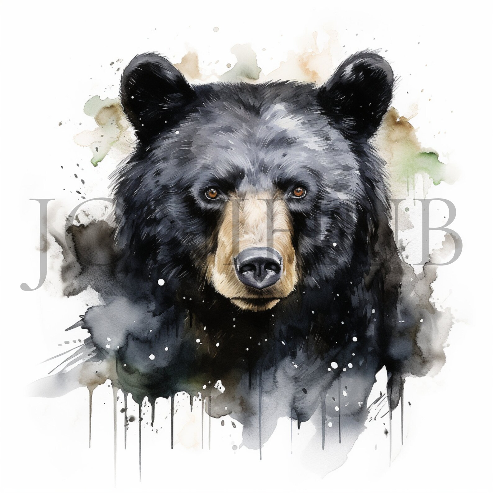 Watercolor Black Bear Clipart 10 High Quality Jpgs Digital Download ...