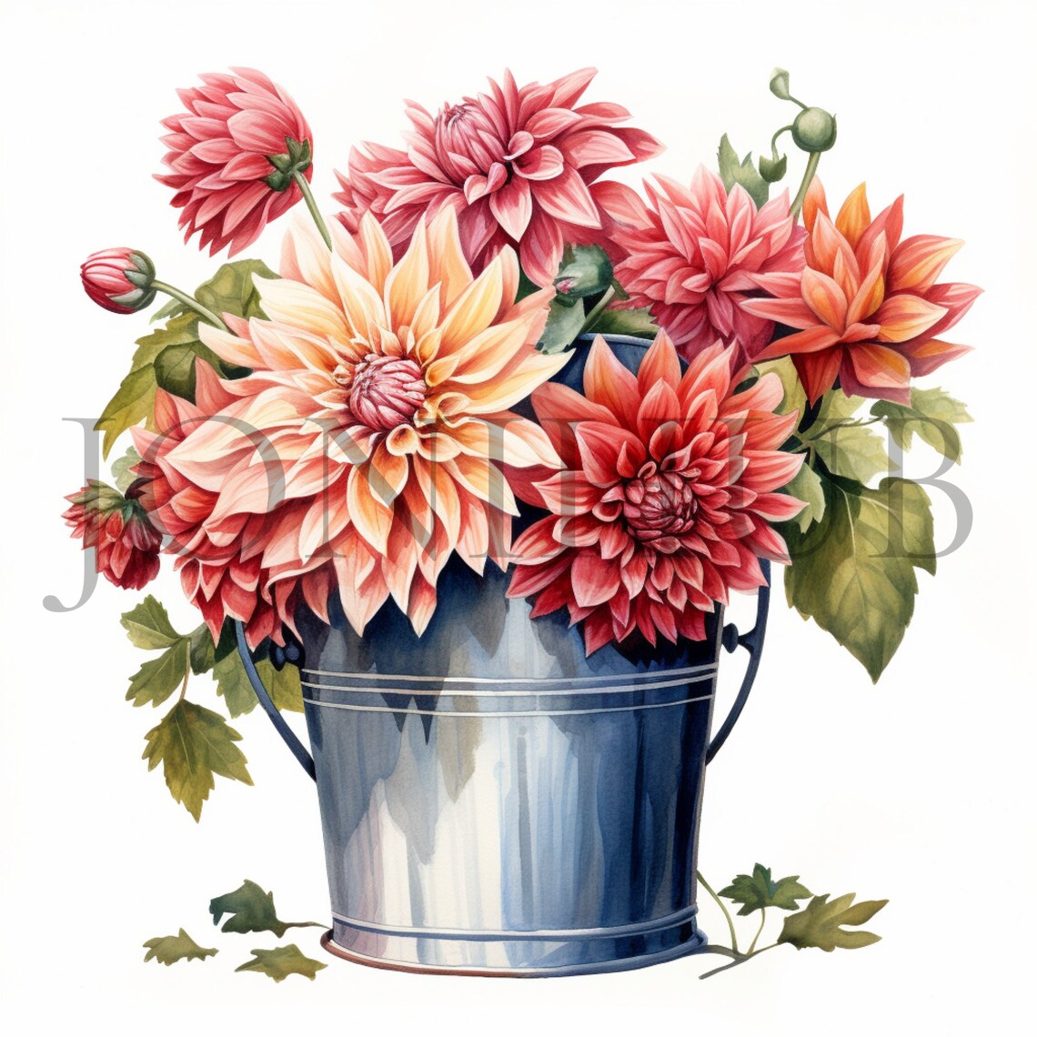 Dahlias Bucket Clipart | 10 High Quality Jpg's | Digital Download ...