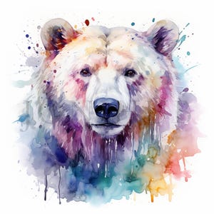 Colorful Polar Bear Clipart | 10 High Quality Jpgs | Digital Download ...