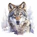 Wolf in Winter Clipart | 10 High Quality Jpgs | Digital Download ...