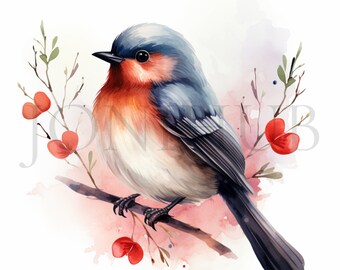 Valentine Robin Bird Clipart 5 High Quality Jpgs Digital Download ...