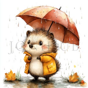 Hedgehog Rainy Clipart | 10 High Quality JPG | Digital Download | Junk ...