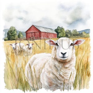 Farmyard Sheep Clipart | 10 High Quality Jpg's | Digital Download ...