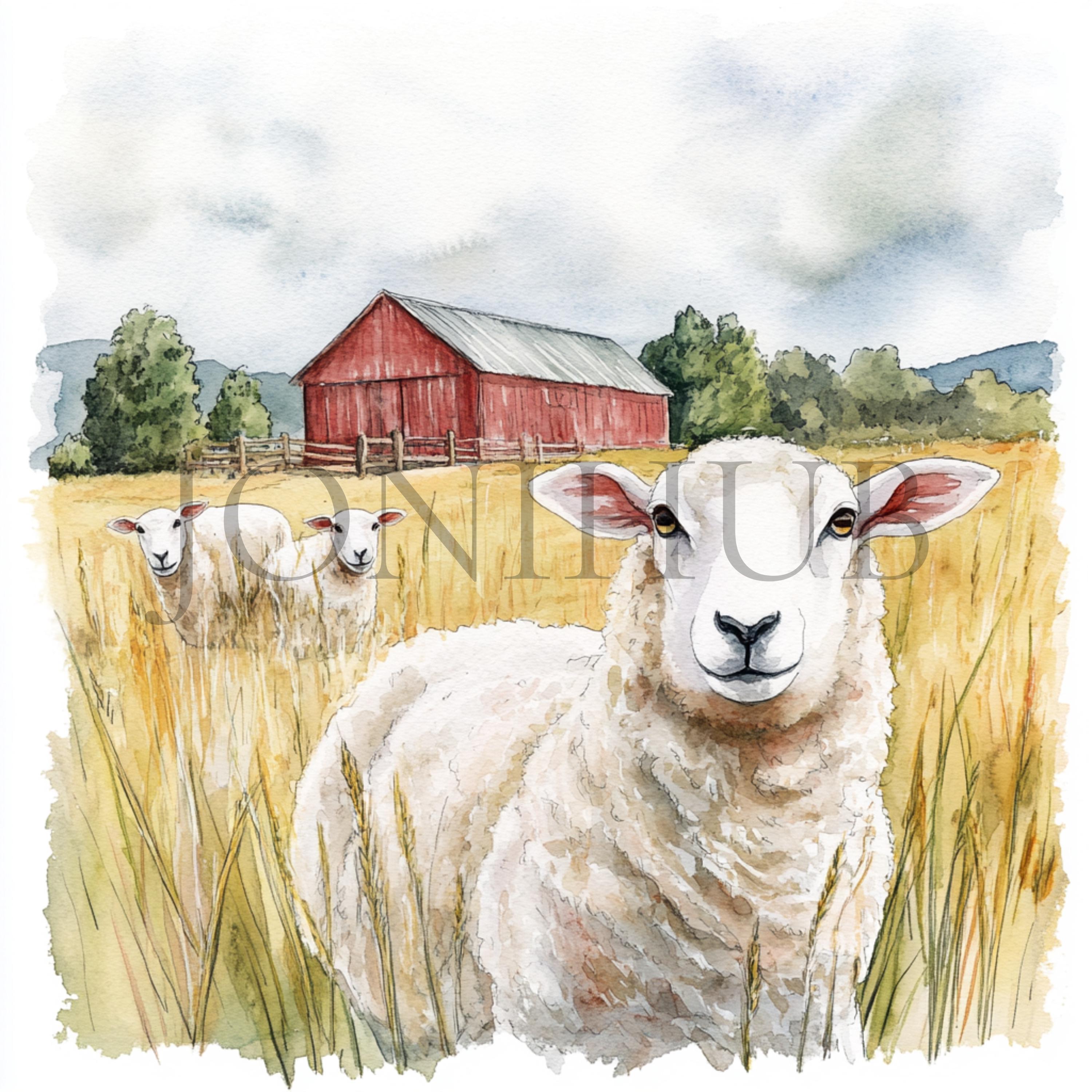 Farmyard Sheep Clipart | 10 High Quality Jpg's | Digital Download ...