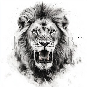 Lion Greyscale Clipart 10 High Quality Jpg's Digital Download Wild ...